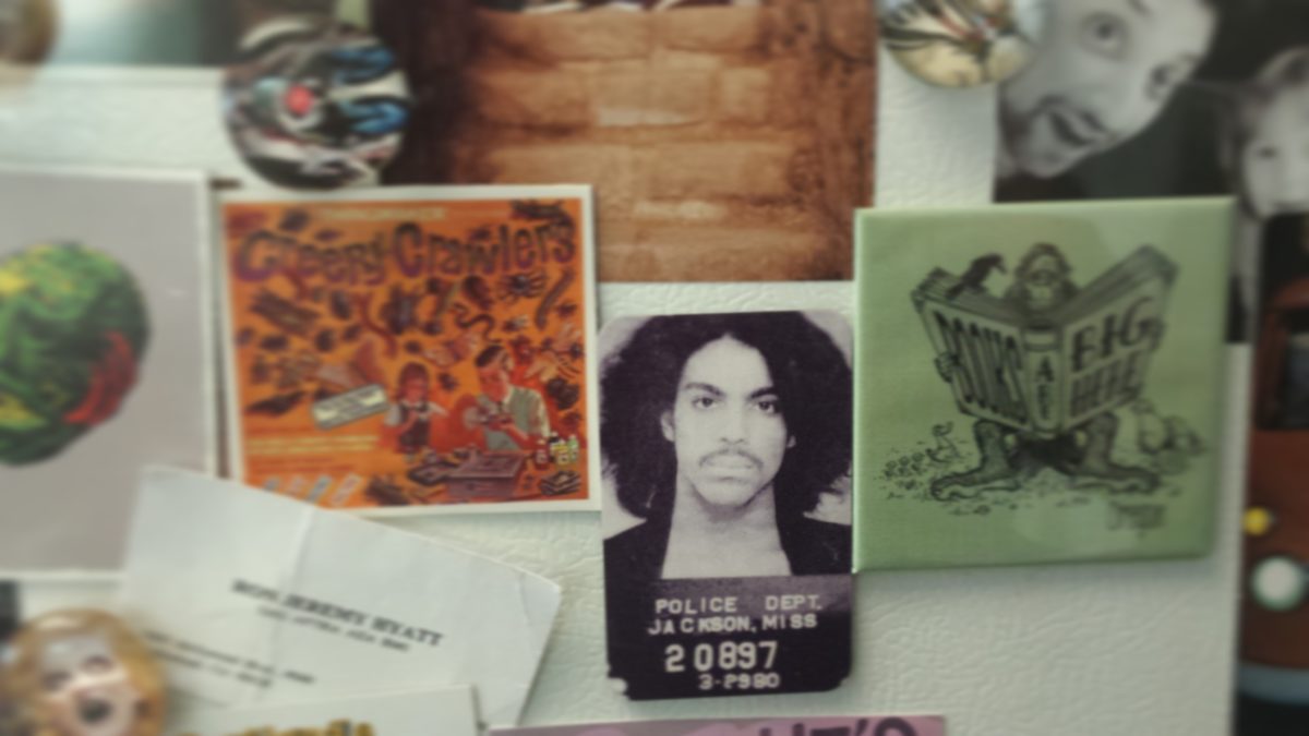 Fungasm Friday! | Fungasm Press